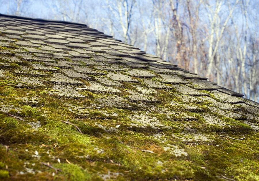 Why Are My Asphalt Roof Shingles Discolored? | Brava Roof Tile